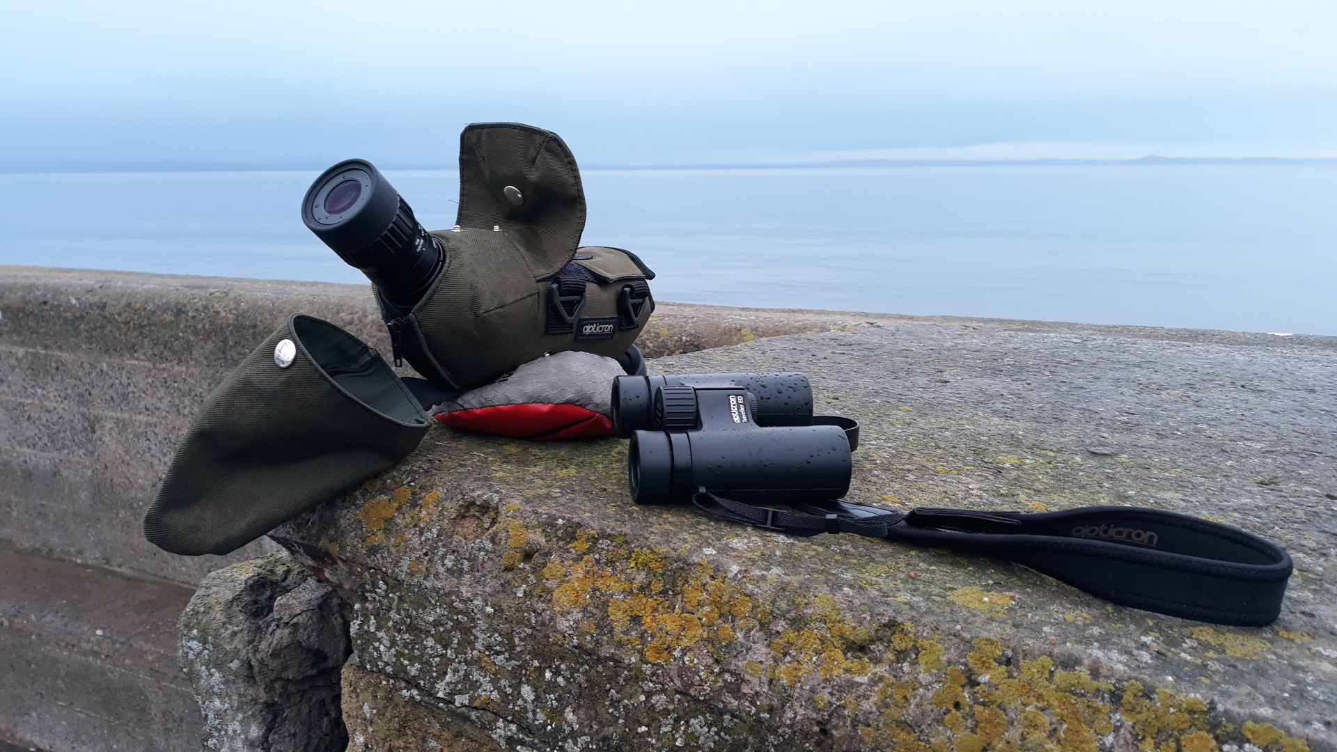 Rise of the velo-birder - BirdGuides