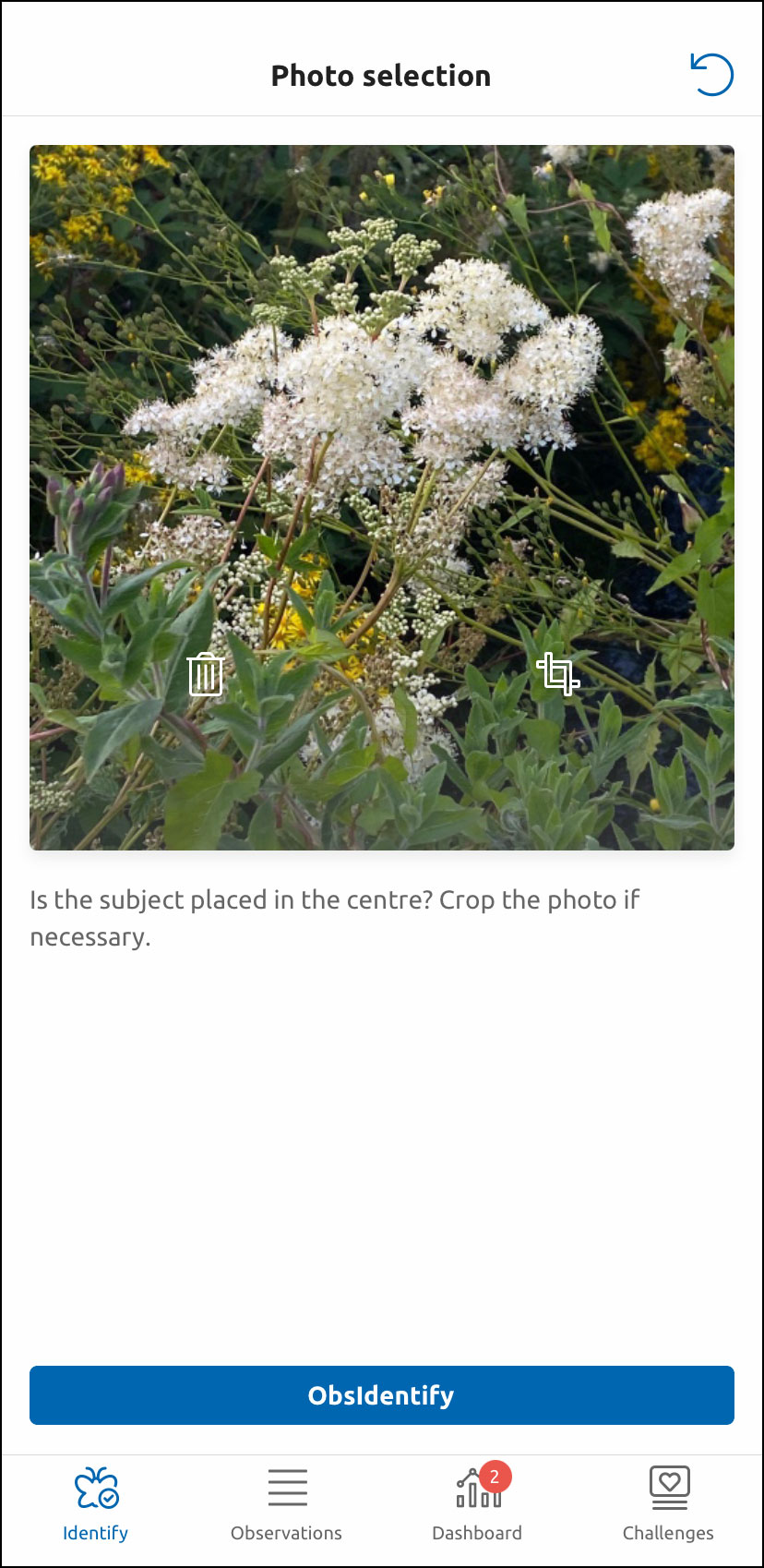 ObsIdentify app for iOS and Android - BirdGuides