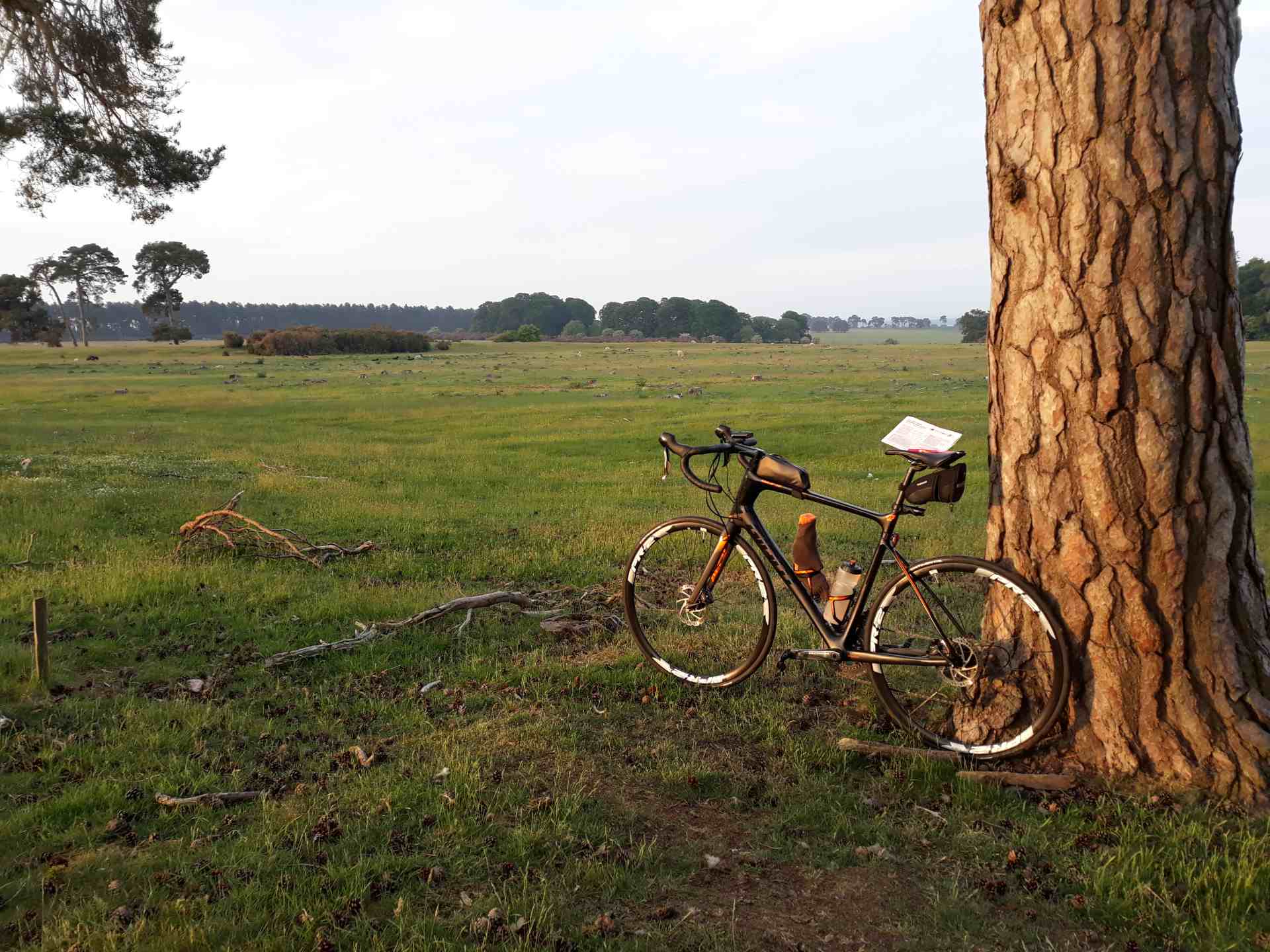 Rise of the velo-birder - BirdGuides