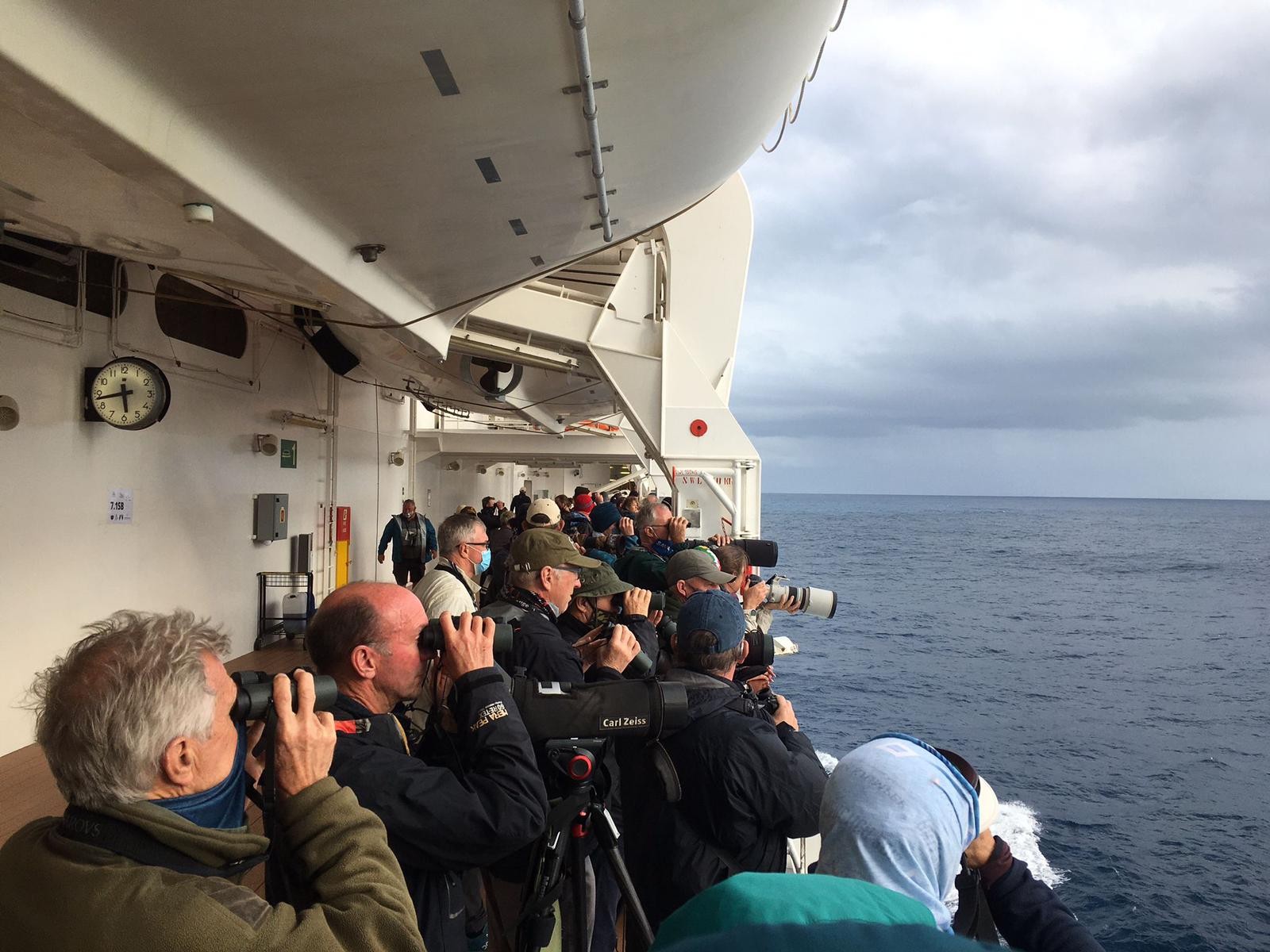 The ultimate pelagic - BirdGuides