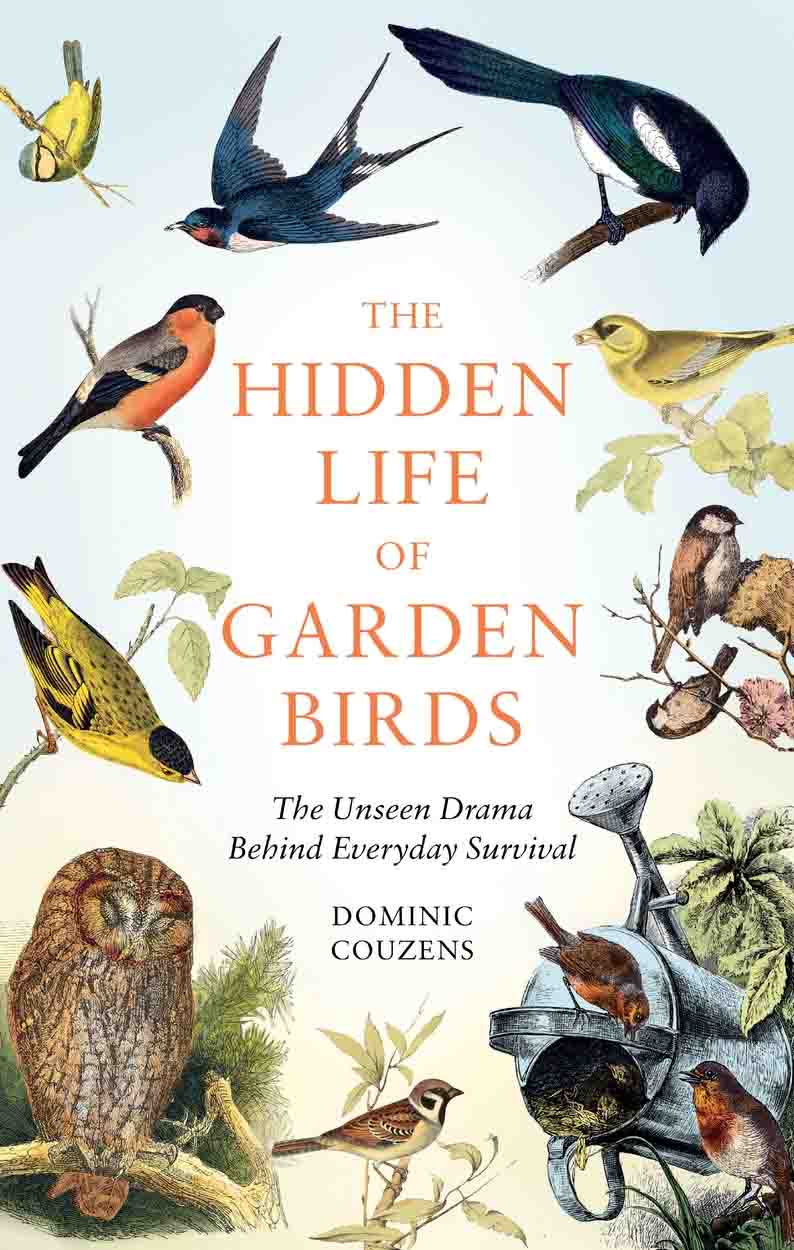 The Hidden Life of Garden Birds - BirdGuides