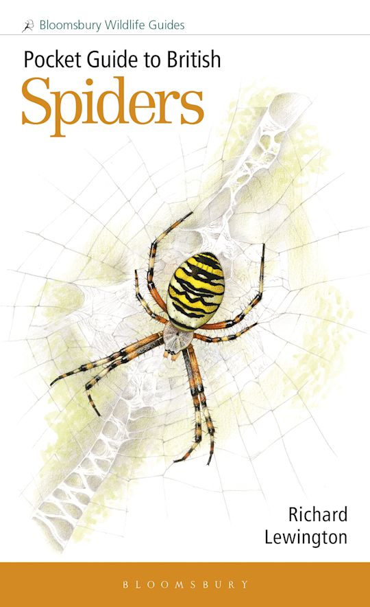 Pocket Guide to British Spiders - BirdGuides