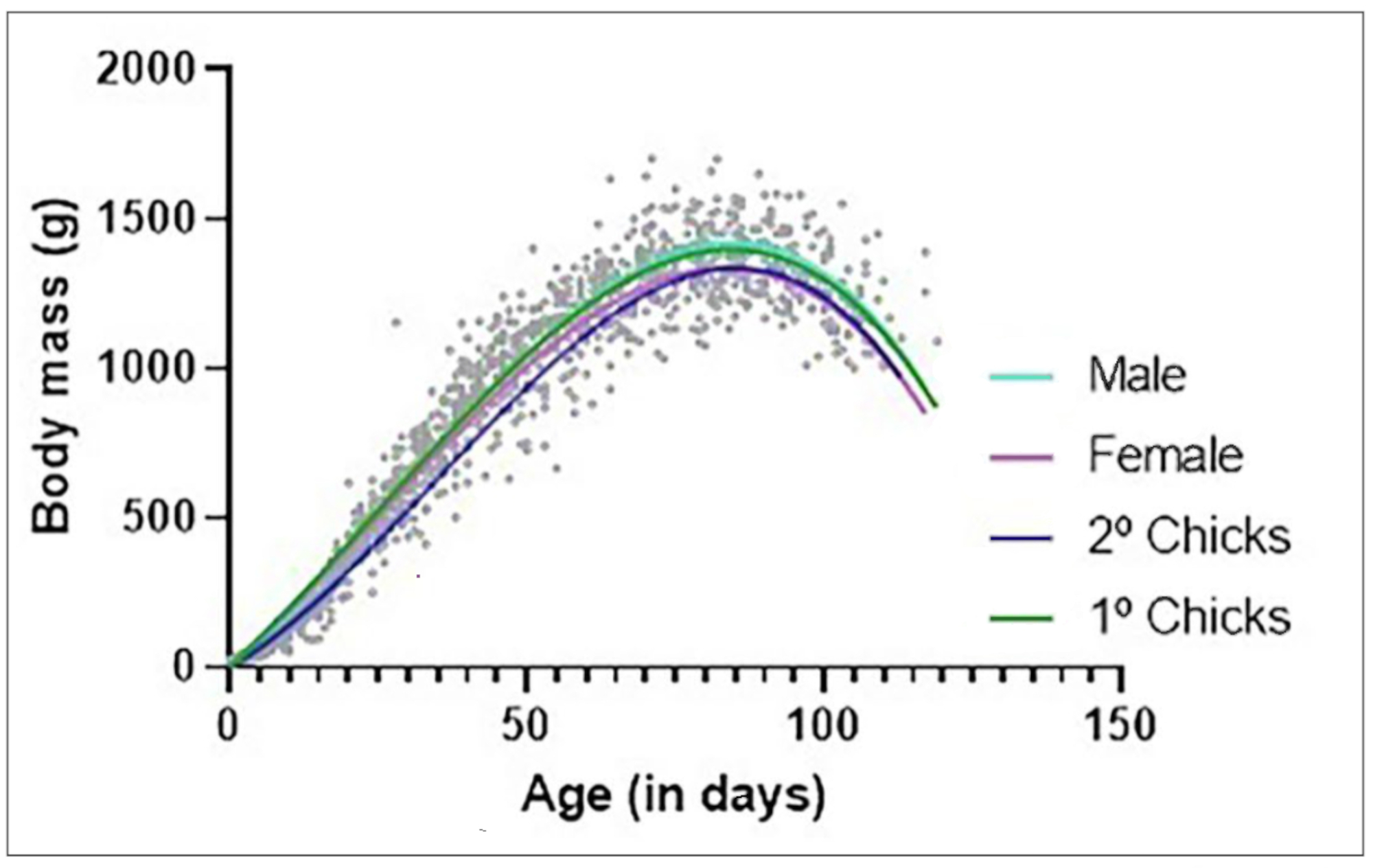 'Dwarf' Hyacinth Macaws identified in Brazilian Pantanal - BirdGuides