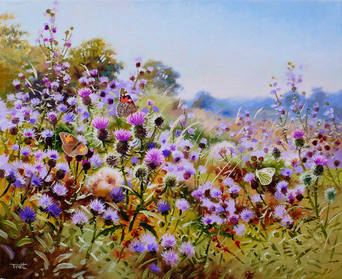 Birdwatch and Swarovski Optik Artist of the Year: 2022 - BirdGuides