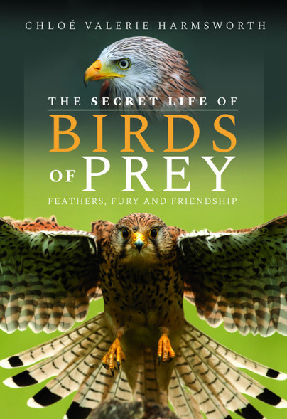 The Secret Life of Birds of Prey - BirdGuides
