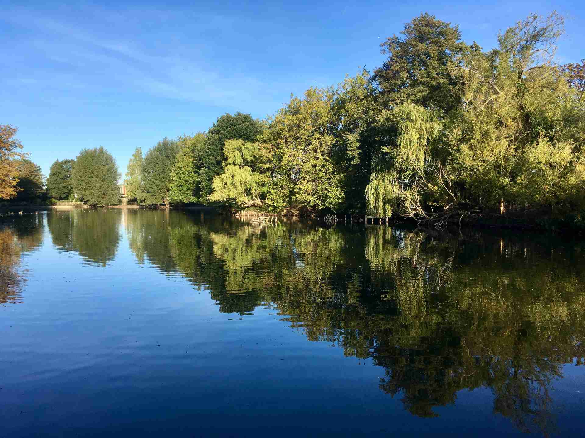 Dominic Mitchell: changing times - BirdGuides