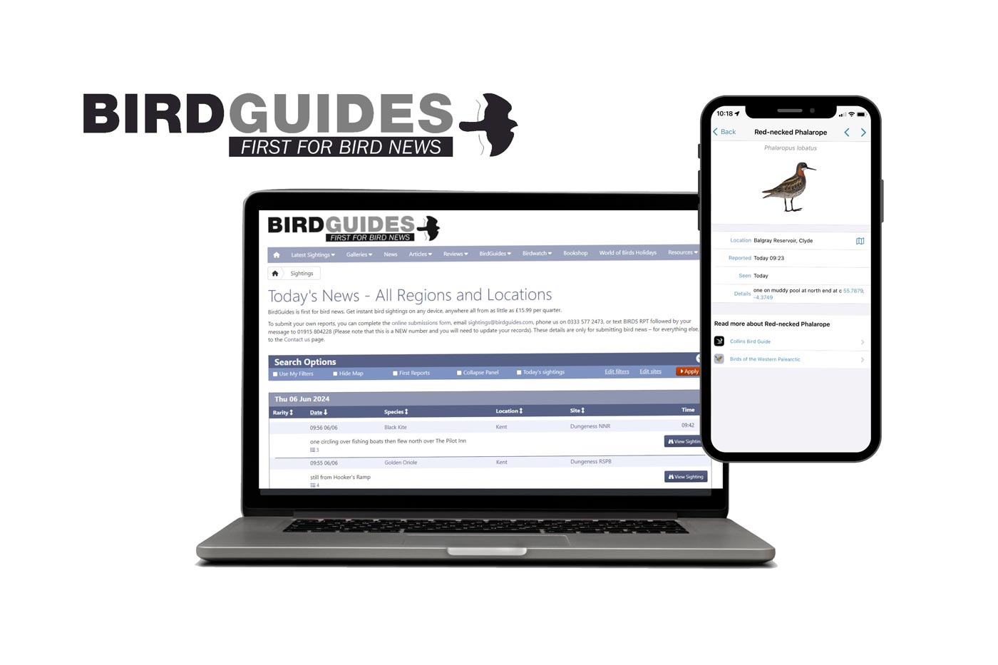 Species reported by BirdGuides - BirdGuides