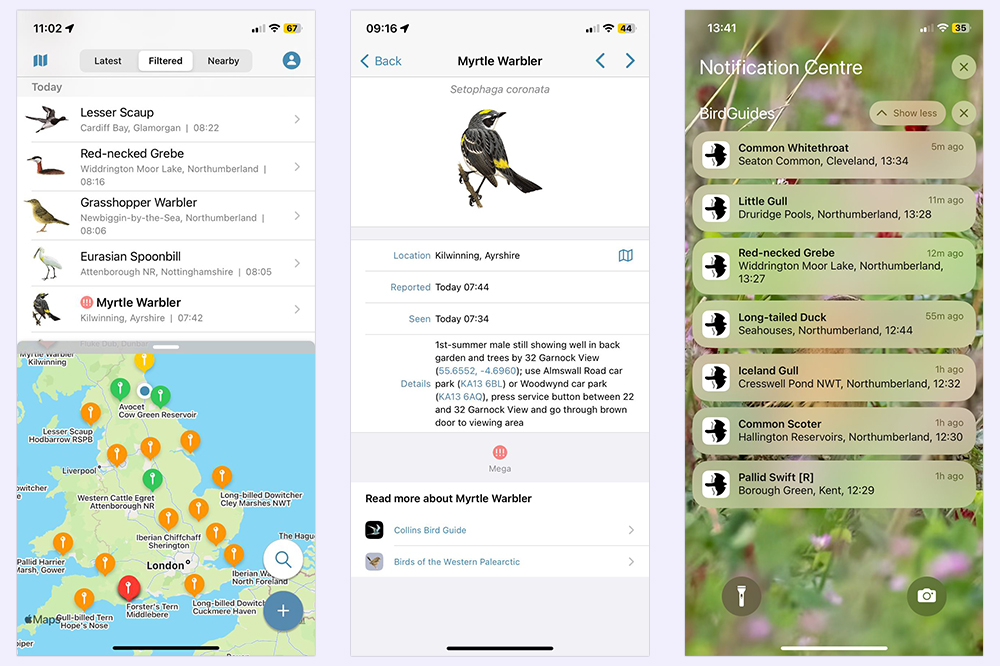 Making the most of the BirdGuides app on iOS - BirdGuides