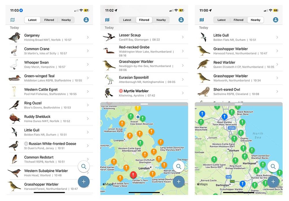 Making the most of the BirdGuides app on iOS - BirdGuides