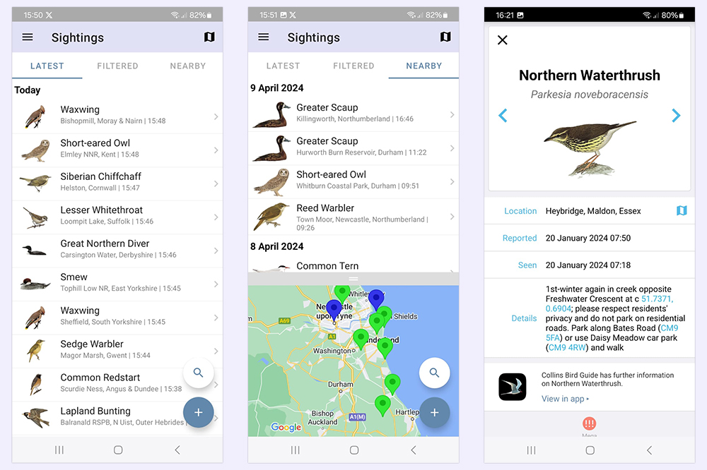 Making the most of the BirdGuides app on Android - BirdGuides