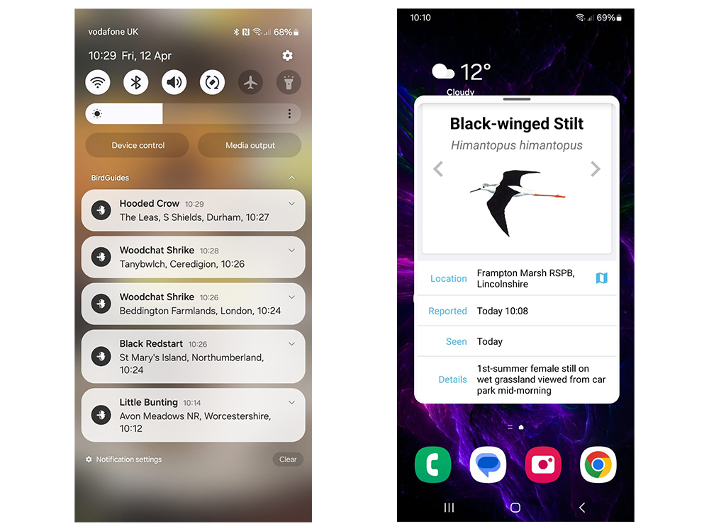 Making the most of the BirdGuides app on Android - BirdGuides
