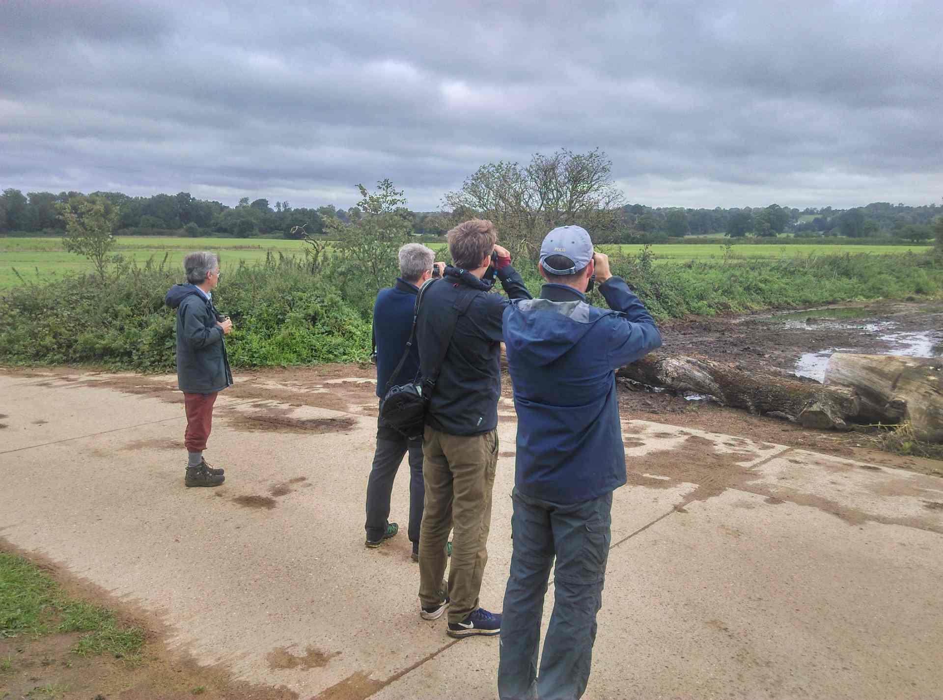 Lucy McRobert: boring birders - BirdGuides