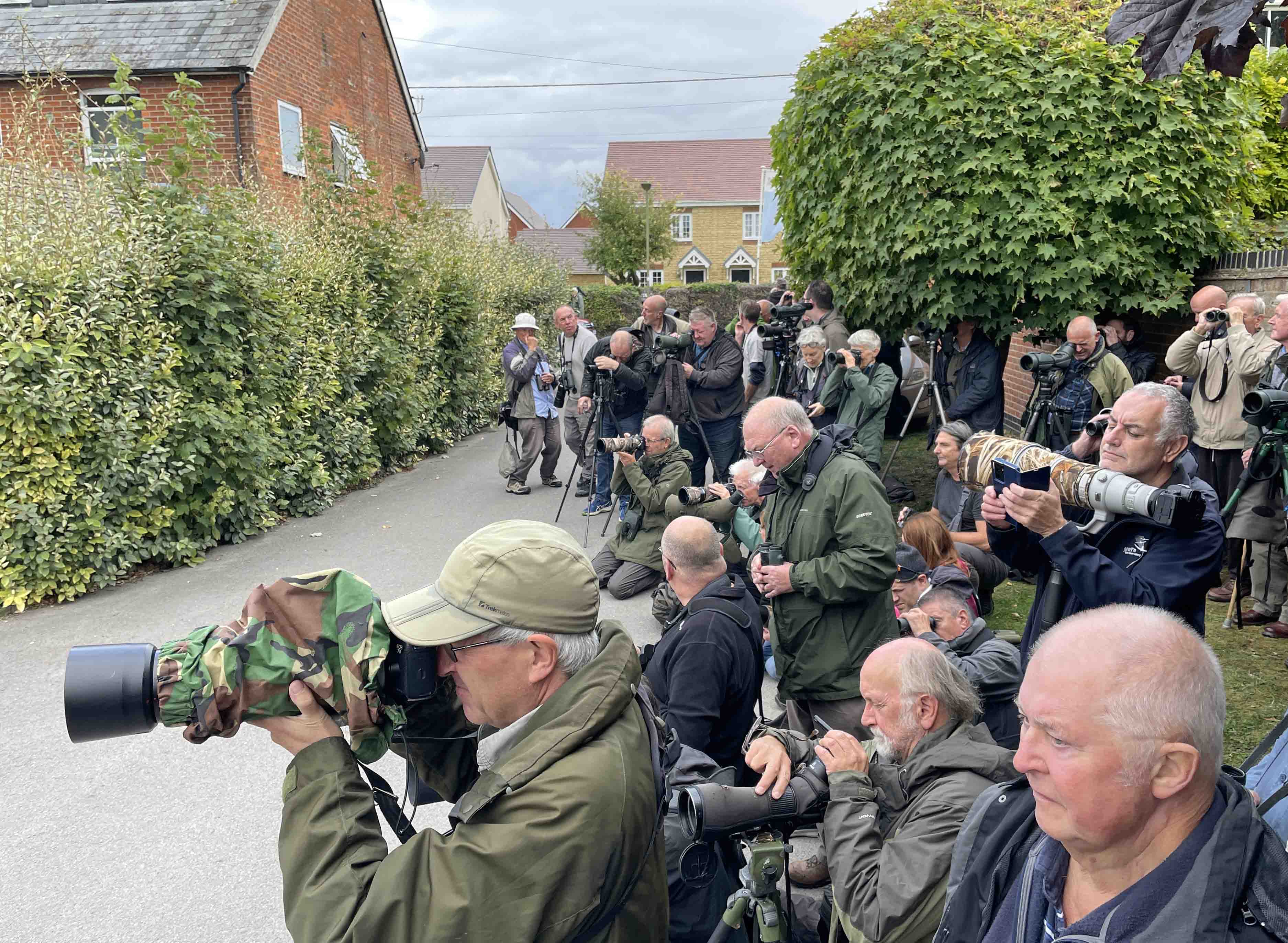 Lucy McRobert: imposter syndrome - BirdGuides