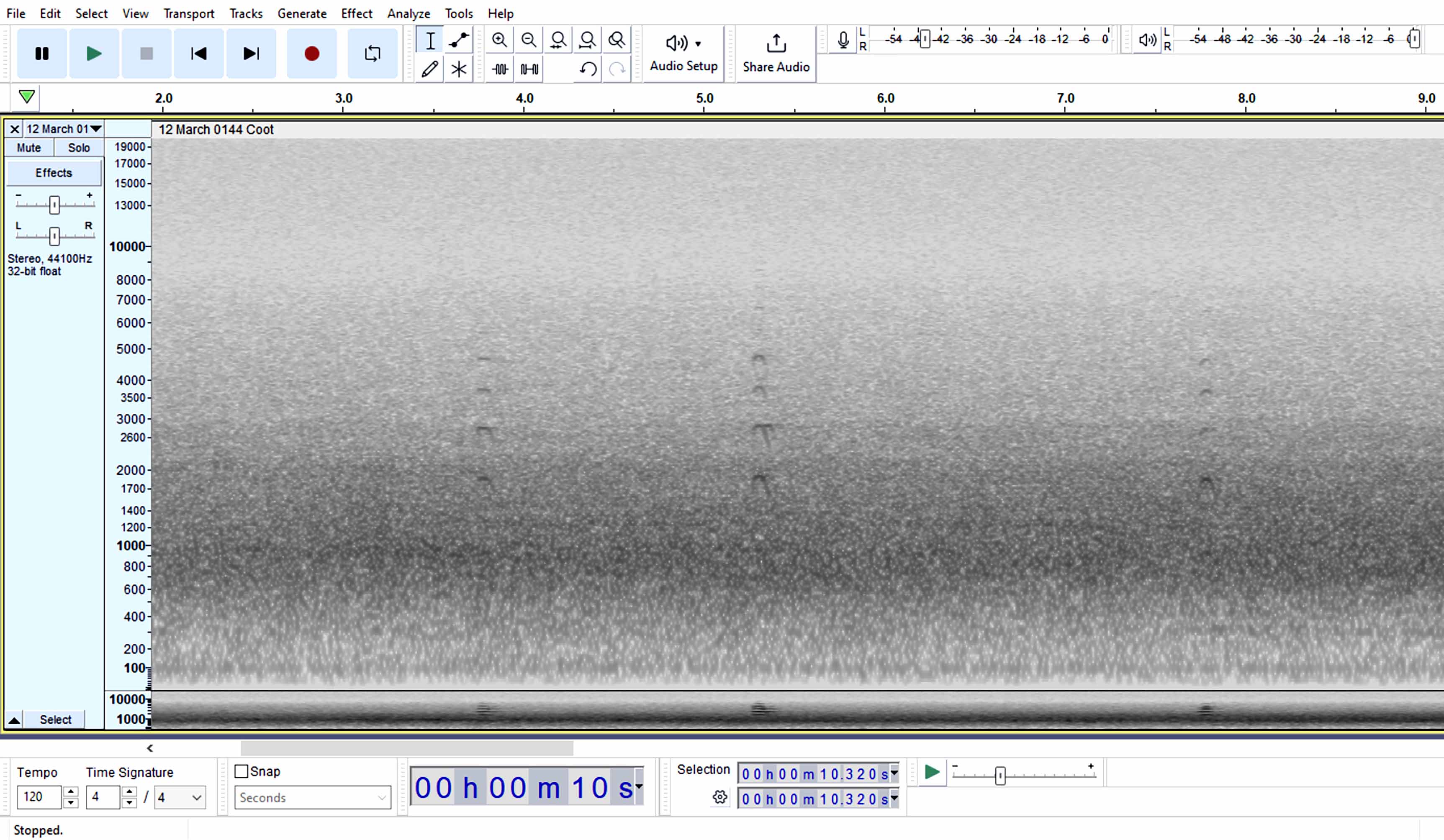Lucy McRobert: nighttime birding - BirdGuides