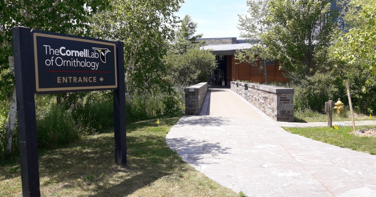 A trip to Cornell Lab of Ornithology - BirdGuides
