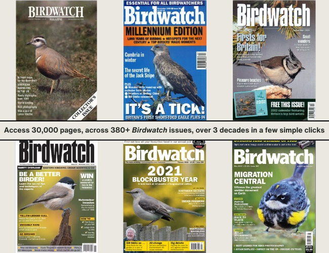 Accessing the Birdwatch digital archive: How to Guide - BirdGuides