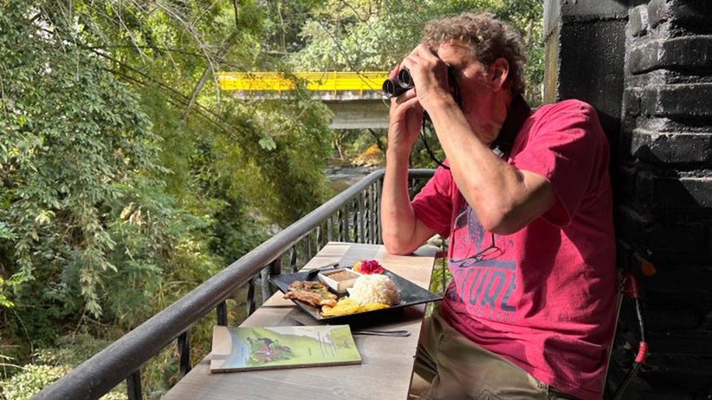Colombia: learning Spanish and a new avifauna - BirdGuides