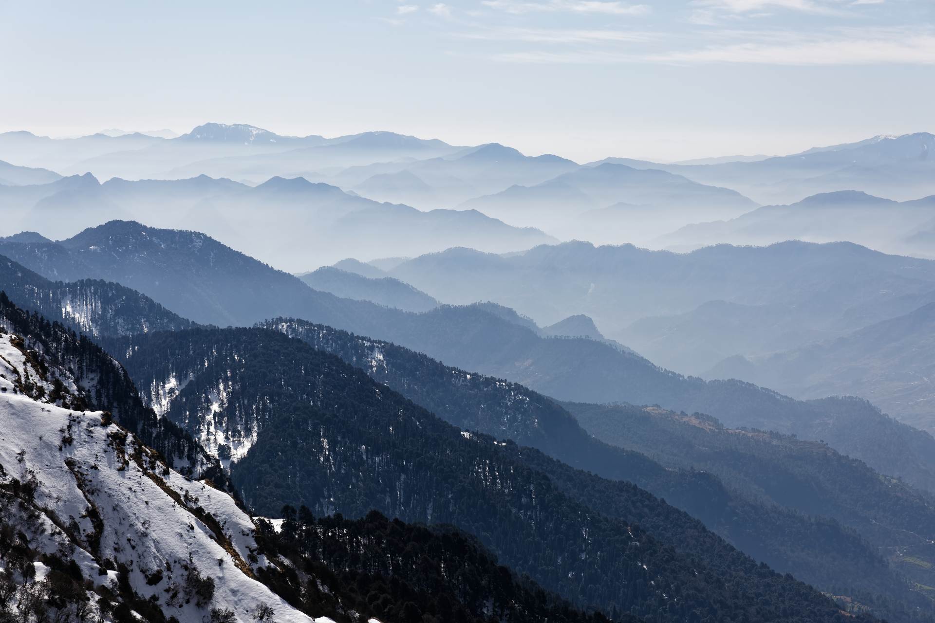 Birding the Himalayan foothills: part two - BirdGuides