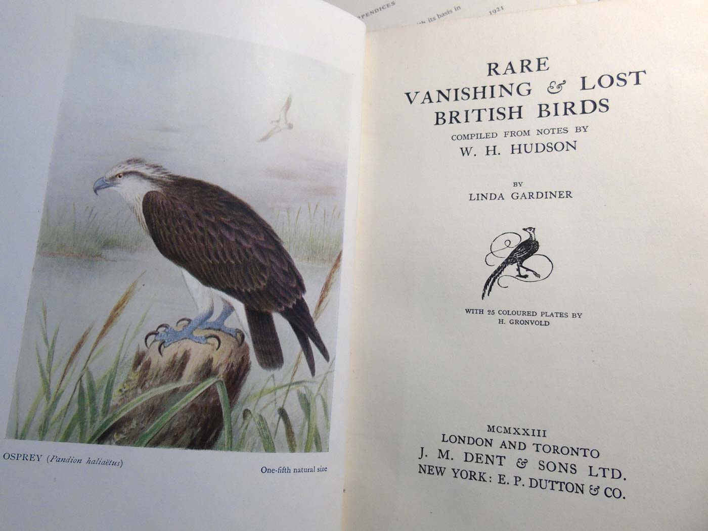 Hudson's birds lost and found - BirdGuides