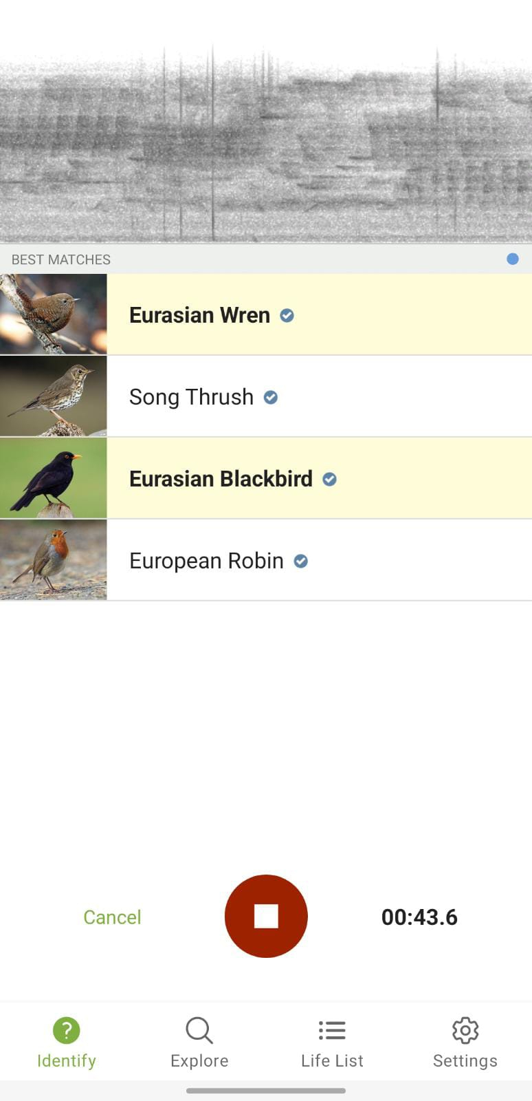 Arjun Dutta: is AI a birder's friend or foe? - BirdGuides