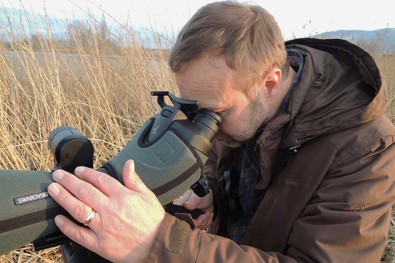 Swarovski BTX binocular spotting scope - BirdGuides