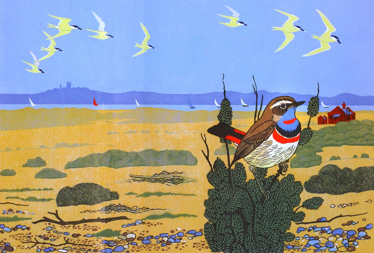 Robert Gillmor: 1936-2022 - BirdGuides