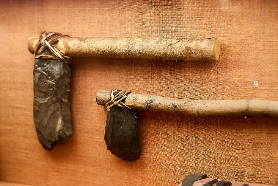 Lucy McRobert: having hobbies - BirdGuides