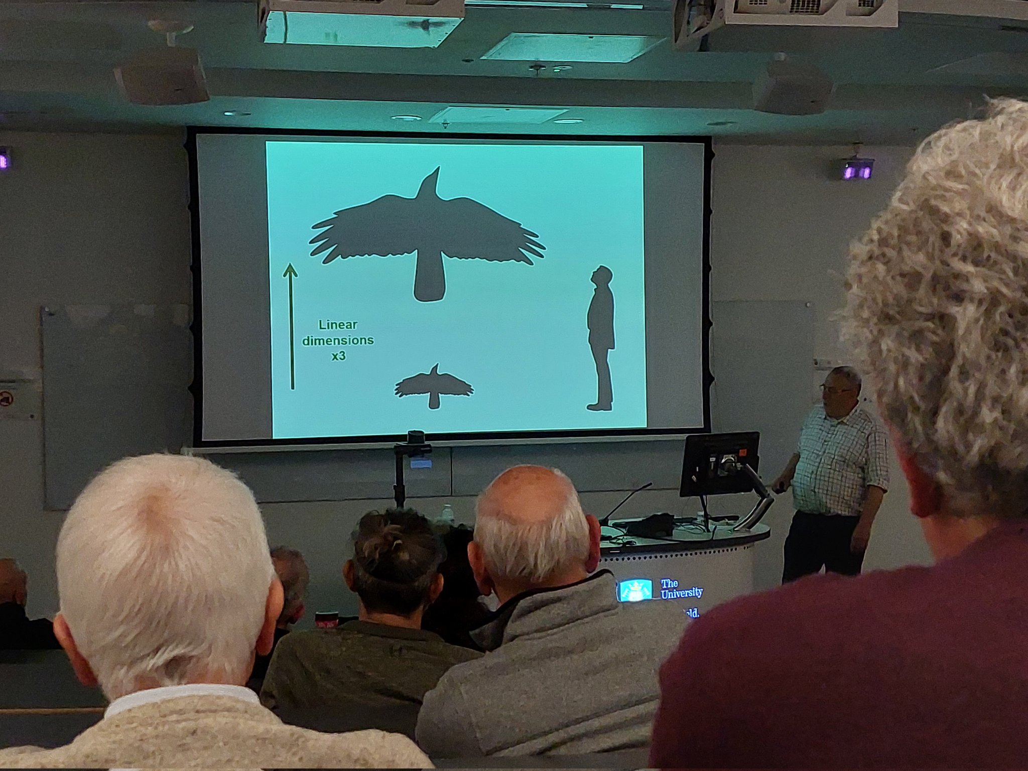 Lucy McRobert: the future of bird clubs - BirdGuides