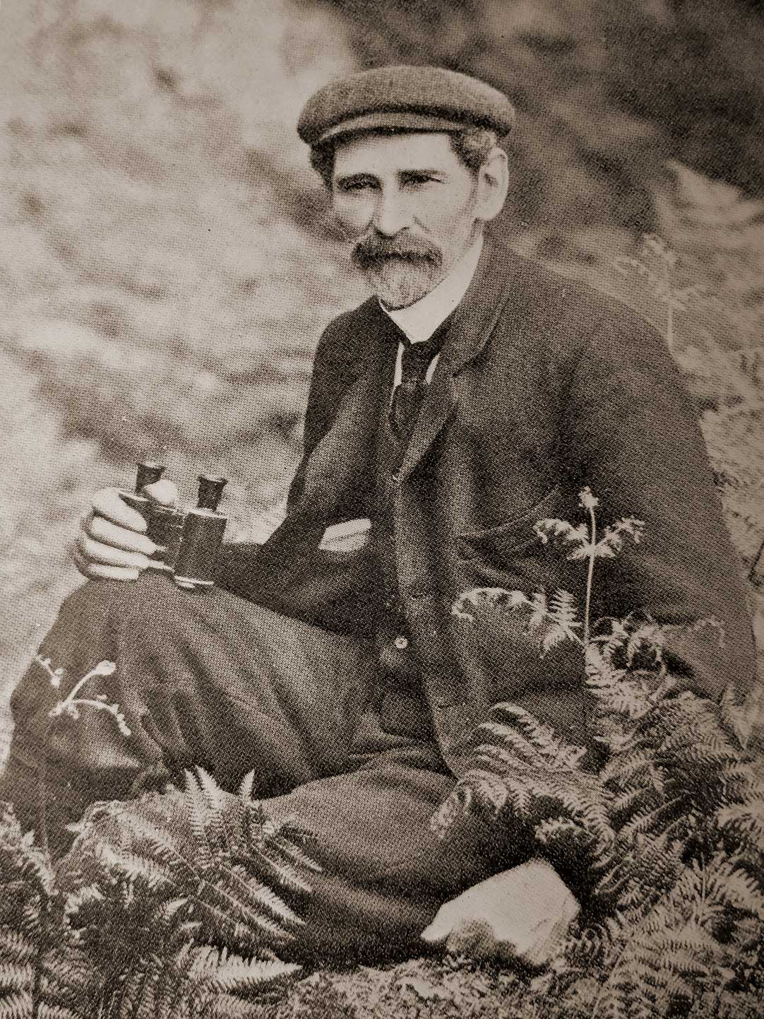 Hudson's birds lost and found - BirdGuides