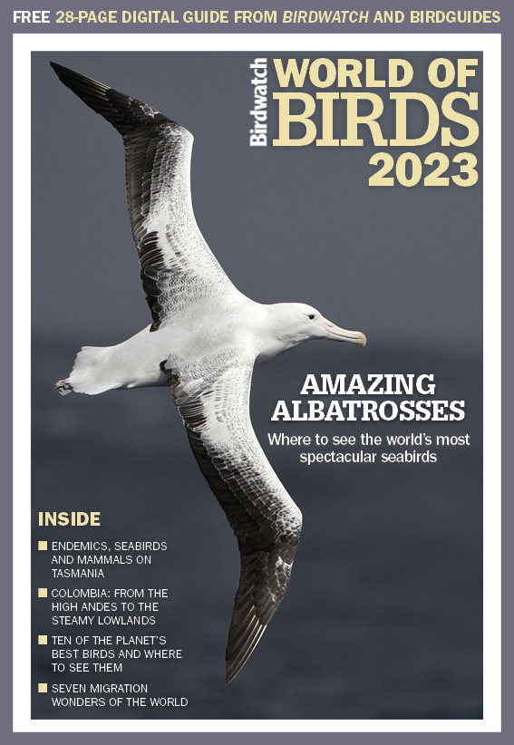 World of Birds 2023 - BirdGuides