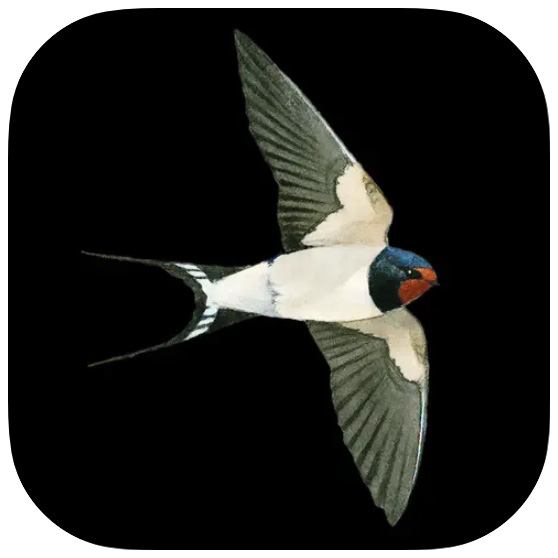 The 5 best British birdwatching apps - BirdGuides