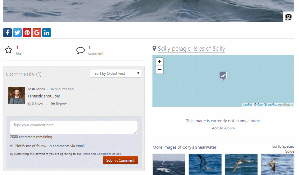 Postcards from afar: the very best from our worldwide photo galleries ...