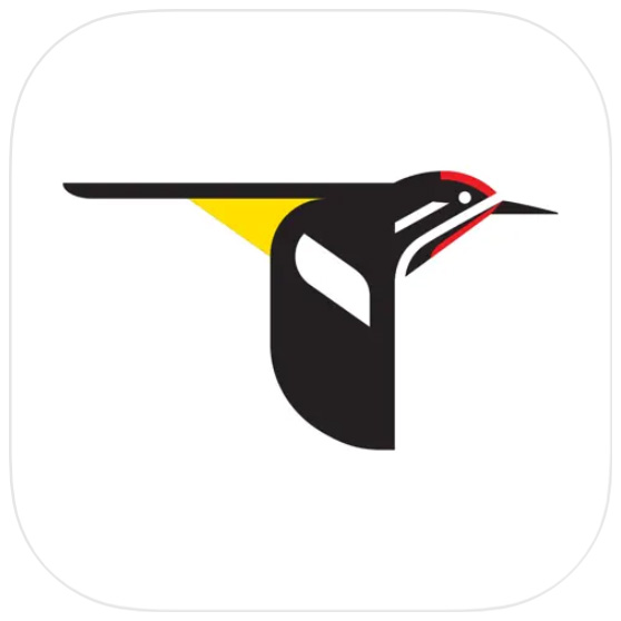 The 5 best British birdwatching apps - BirdGuides