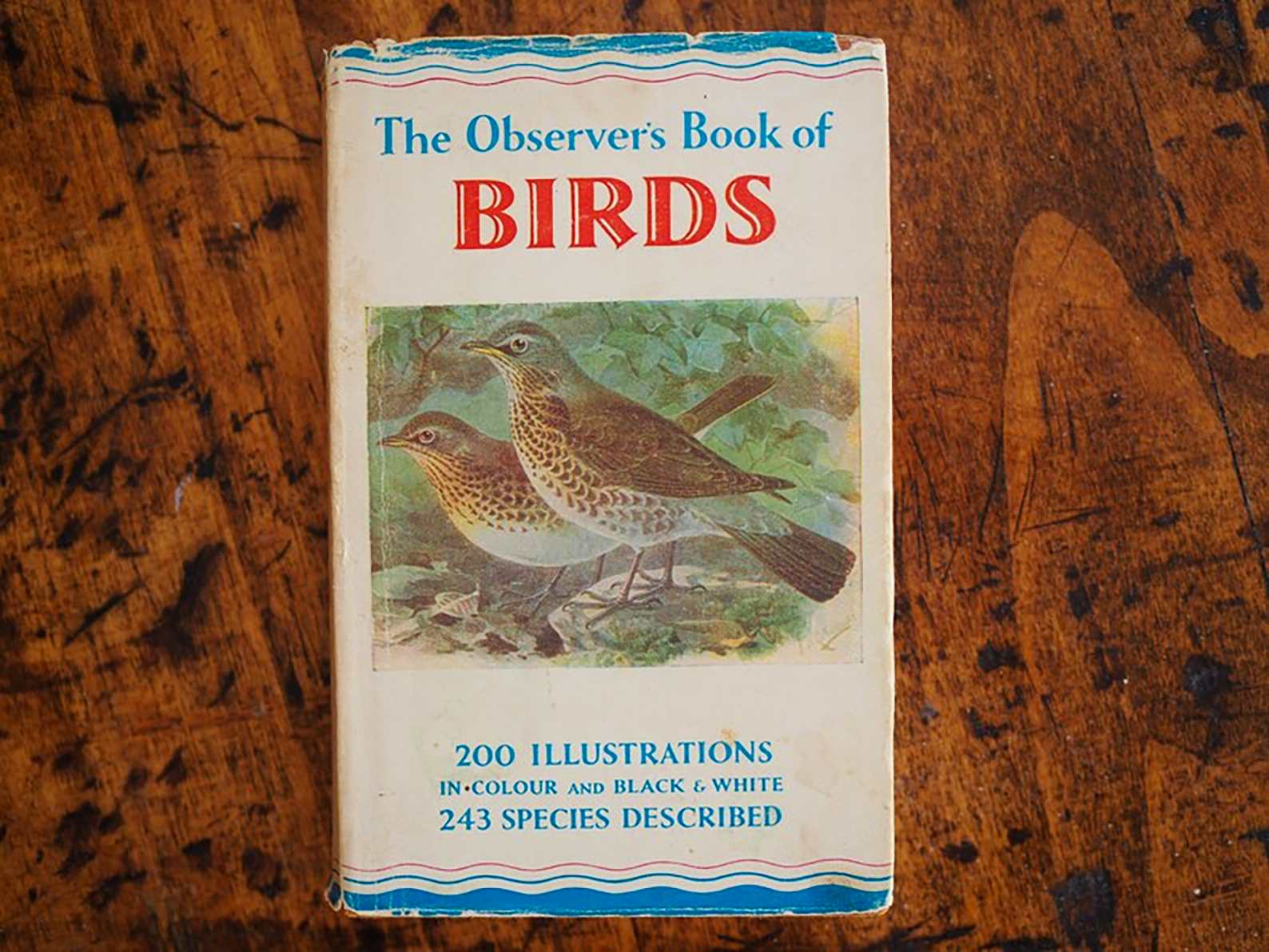 Alan Tilmouth: birding origins - BirdGuides