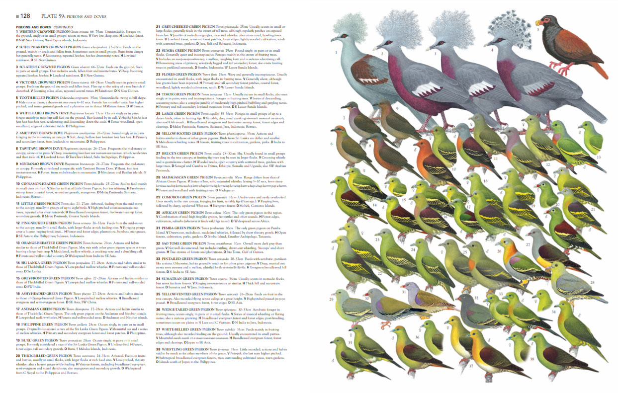 Collins Birds of the World - BirdGuides