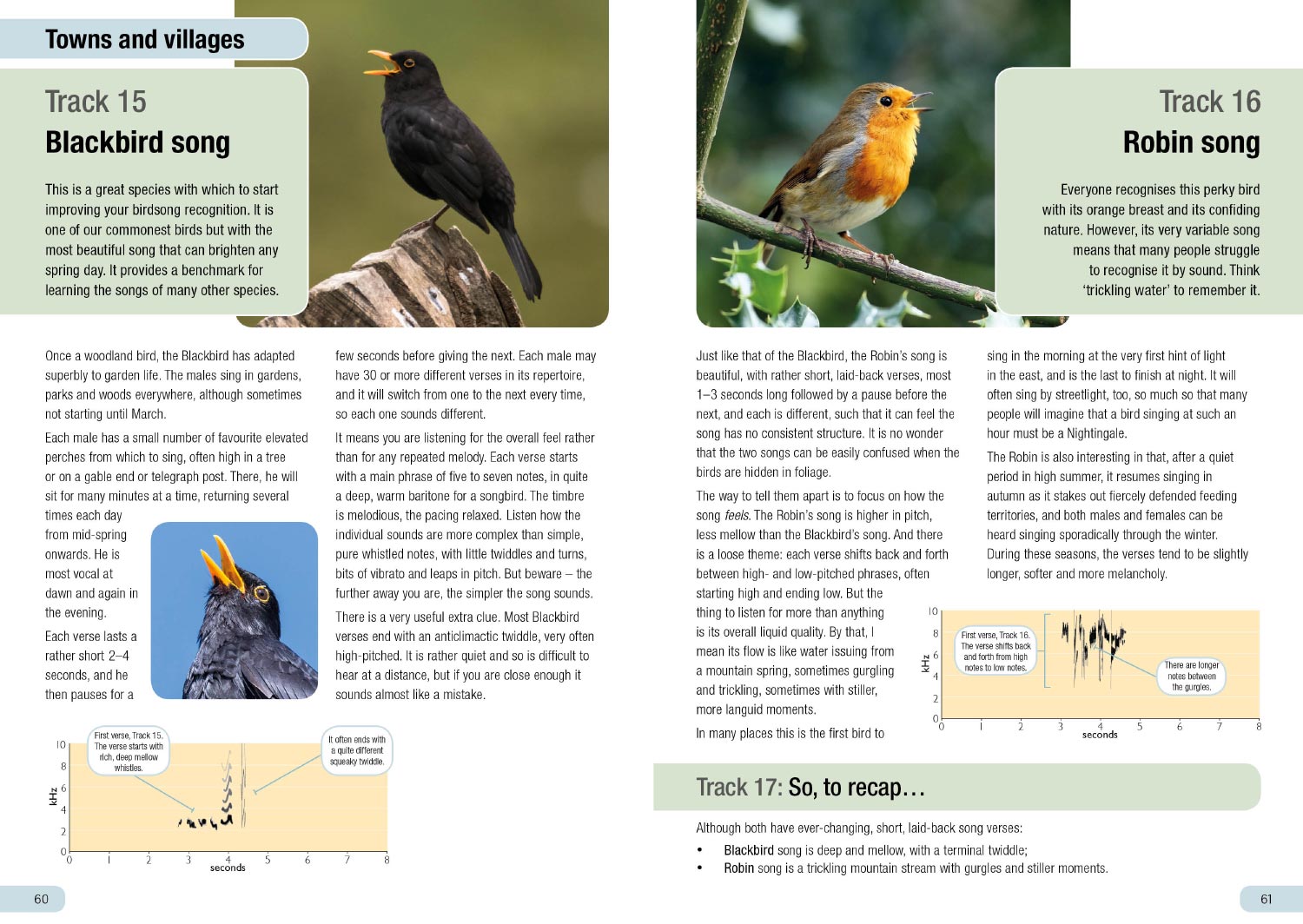 Getting to grips with birdsong - BirdGuides
