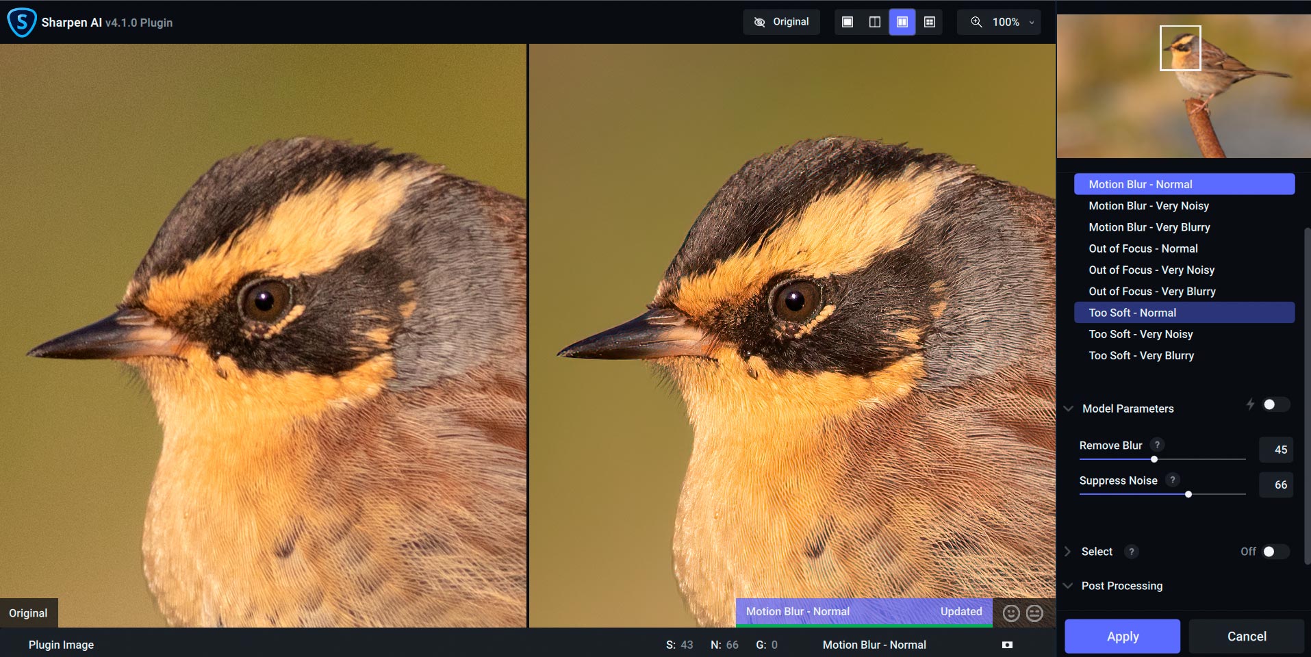 Topaz Labs DeNoise AI, Gigapixel AI and Sharpen AI - BirdGuides