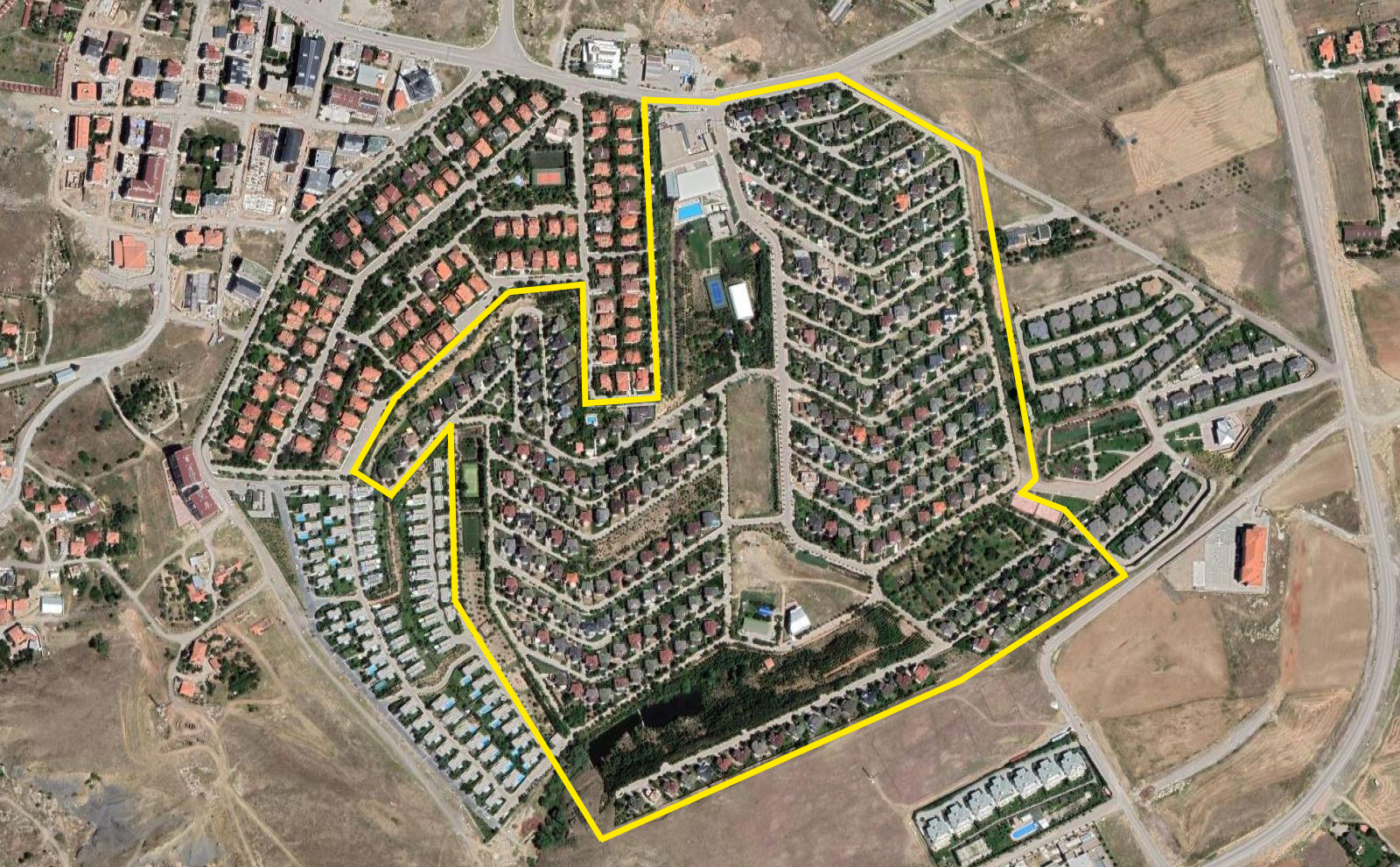 A year in the life of a Turkish patch-watcher - BirdGuides