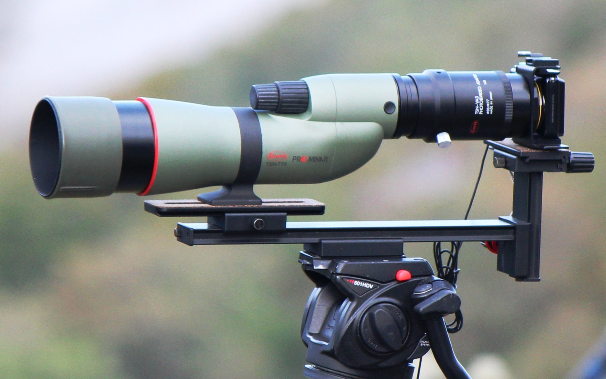 Digiscoping - BirdGuides