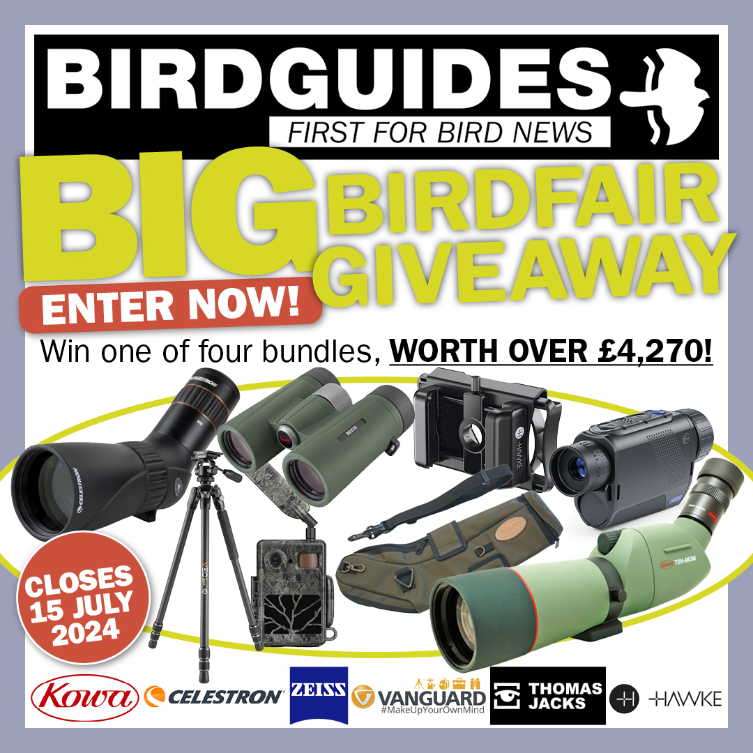 Global Birdfair 2024 - BirdGuides