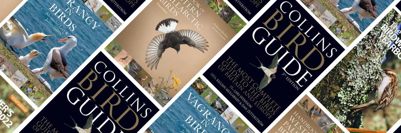 Global Birdfair 2023 - BirdGuides