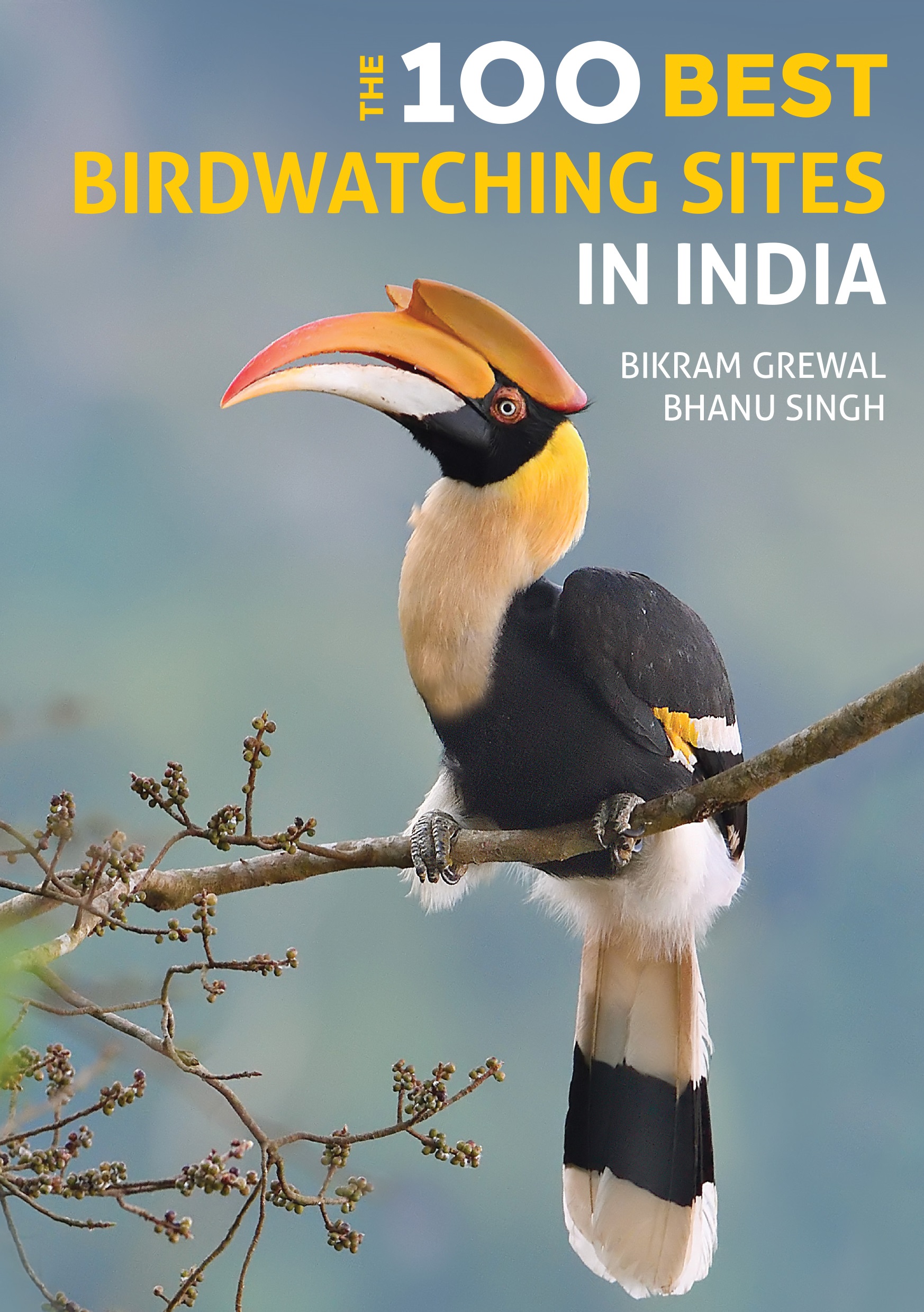 The 100 Best Birdwatching Sites in India - BirdGuides
