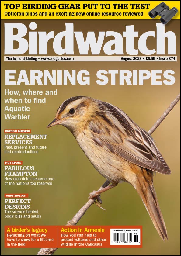 Inside the August 2023 issue of Birdwatch - BirdGuides
