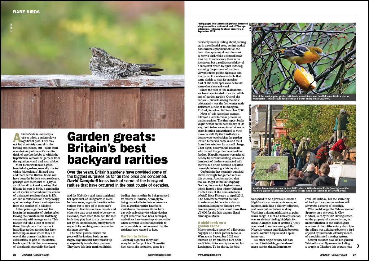 BirdGuides : UK and Worldwide Birding News, Sightings and Alerts ...