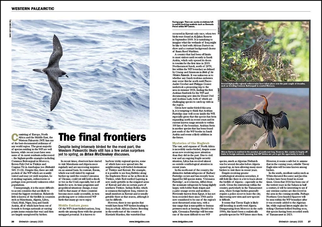 BirdGuides : UK and Worldwide Birding News, Sightings and Alerts ...