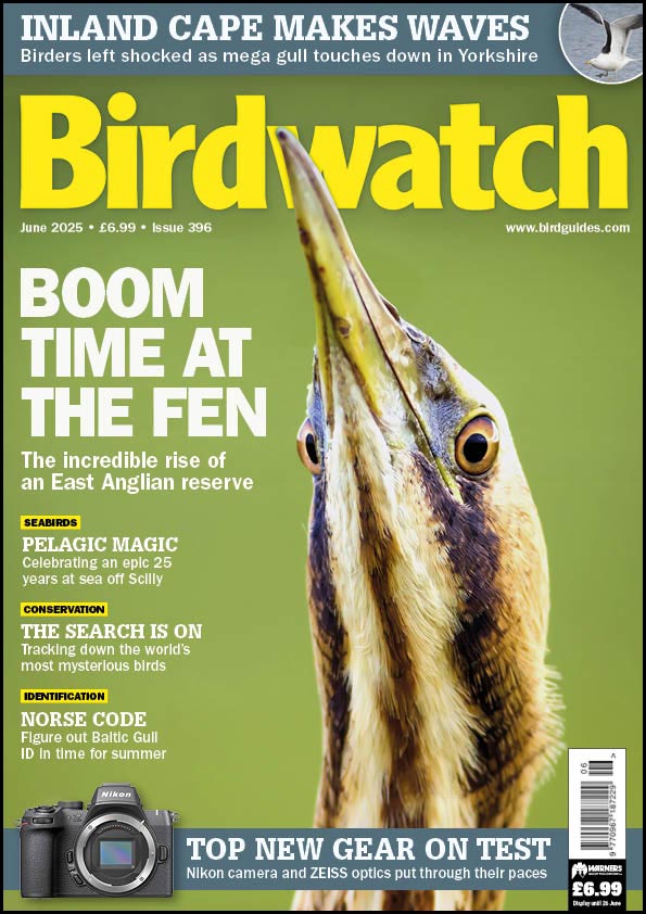 RSPB Big Garden Birdwatch 2024 results published - BirdGuides