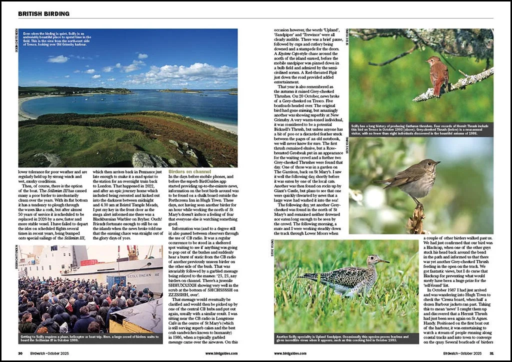 BirdGuides : UK and Worldwide Birding News, Sightings and Alerts ...