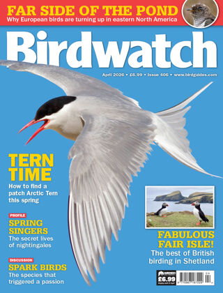 BirdGuides : UK and Worldwide Birding News, Sightings and Alerts ...