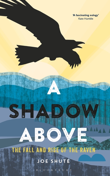 A Shadow Above: The Fall and Rise of the Raven - BirdGuides