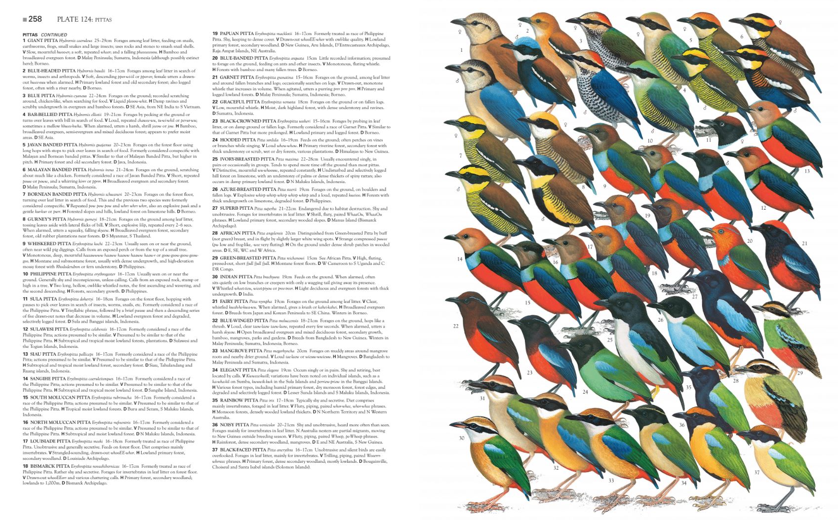 Collins Birds of the World - BirdGuides